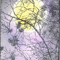 Yellow Moon | ATCsforALL Forums