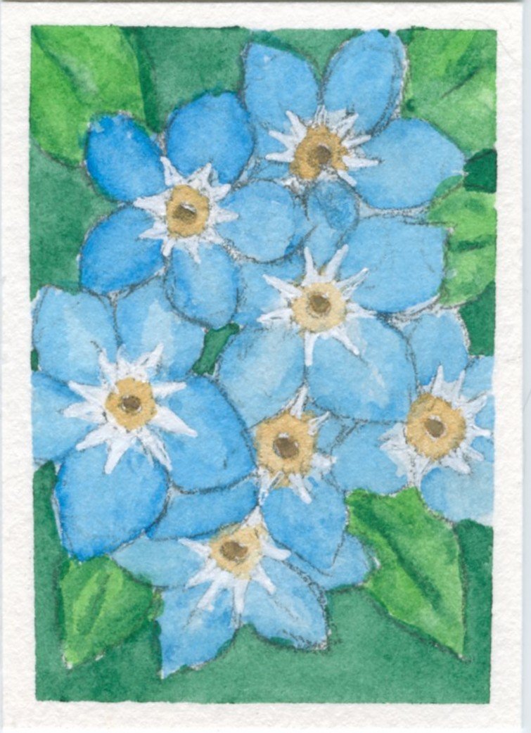 Forget-Me-Nots - Blue and Green Swap | ATCsforALL Forums